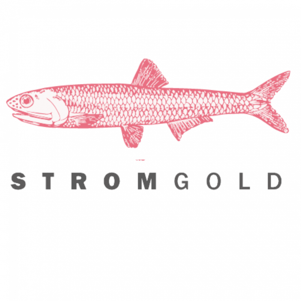 Infocard Stromgold Warnemünde | Digital Infocard - Digitale Visitenkarten